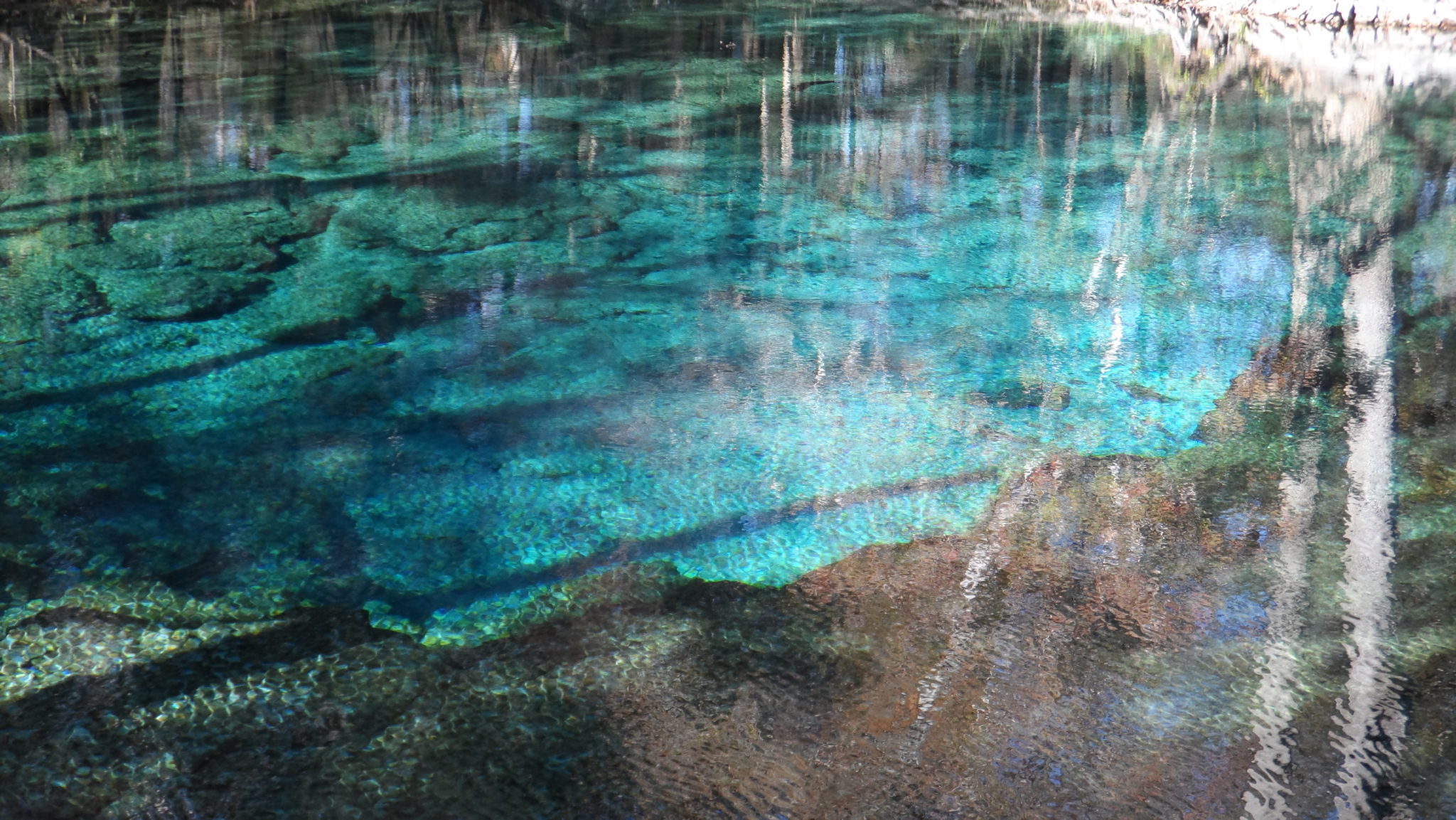 Update on threats to Florida's freshwater springs - WMNF 88.5 FM