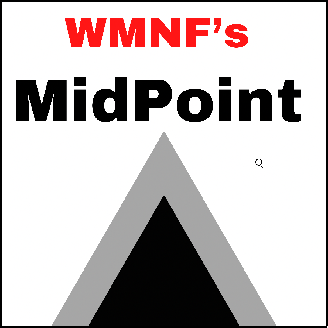 WMNF Midpoint Spotlighting Florida s Foster Care System With Kelly