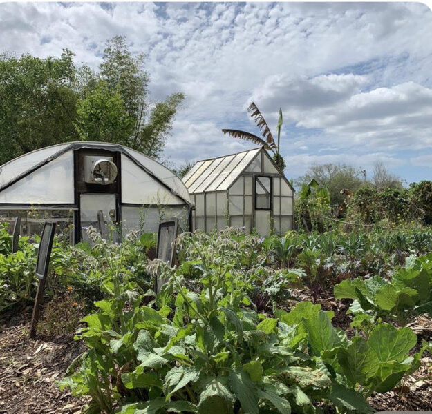 Sustainable Living: Sweetwater Organic Community Farm - WMNF 88.5 FM