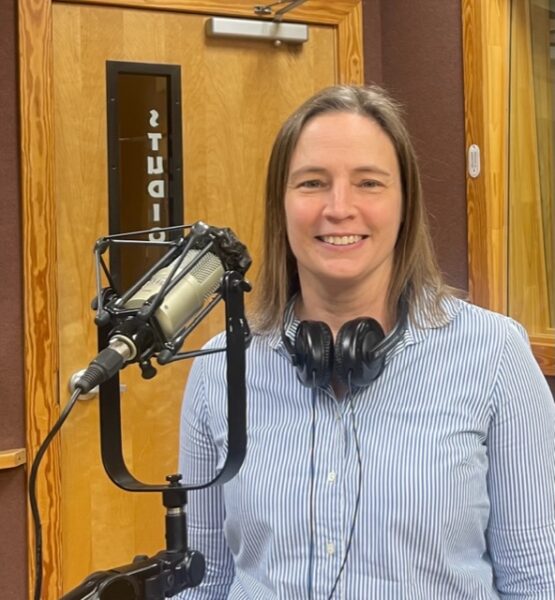 City Council member Lynn Hurtak on working with the Mayor - WMNF 88.5 FM