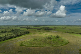 WMNF 88.5 FM Tampa - Community Conscious Radio