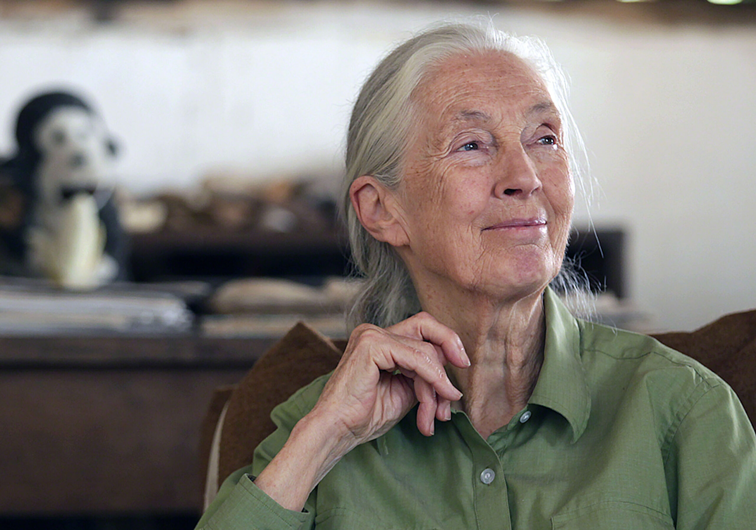 Jane Goodall addresses her unwavering optimism about young people, the ...