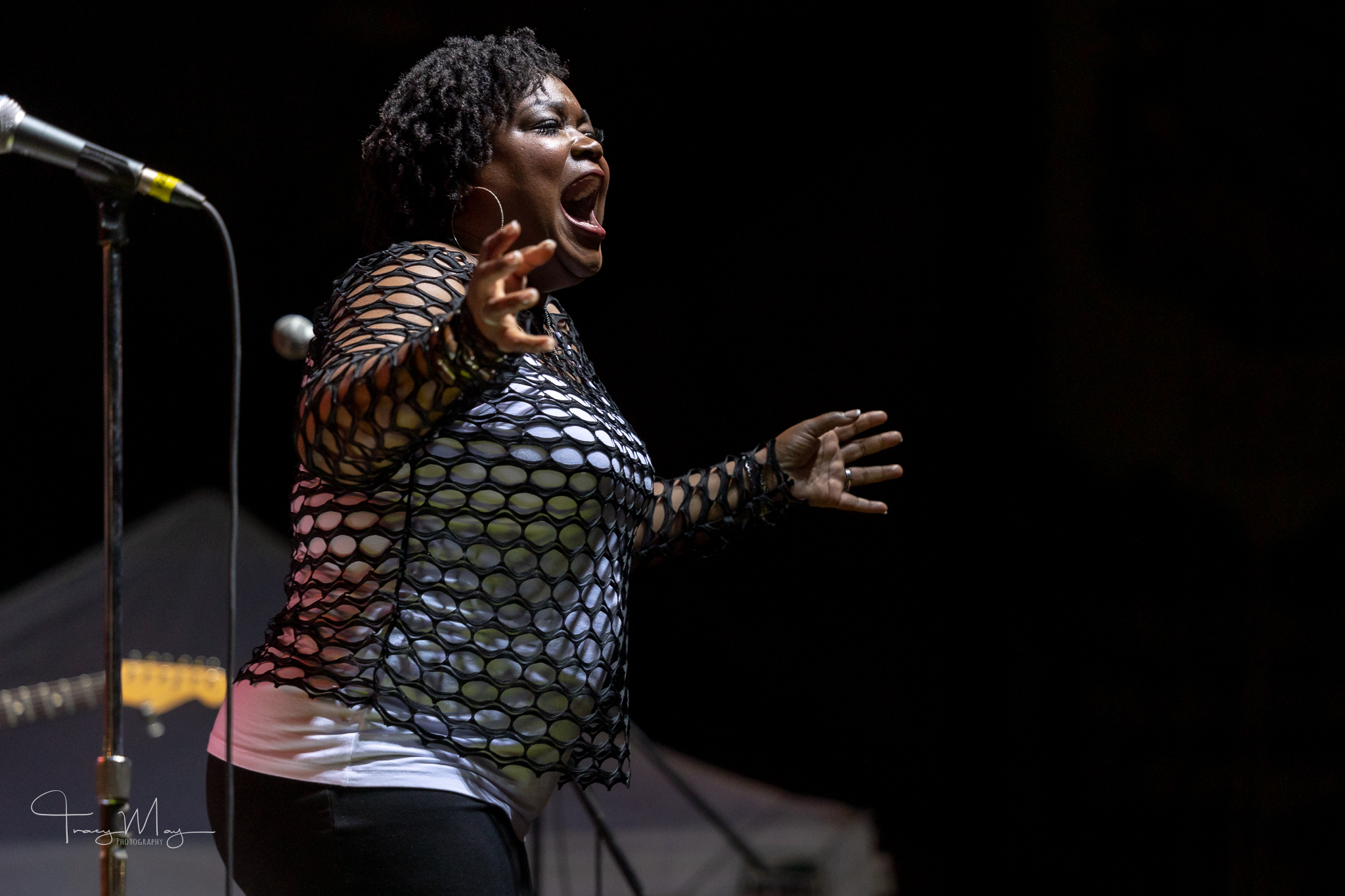 Thank you for an amazing Tropical Heatwave! - WMNF 88.5 FM