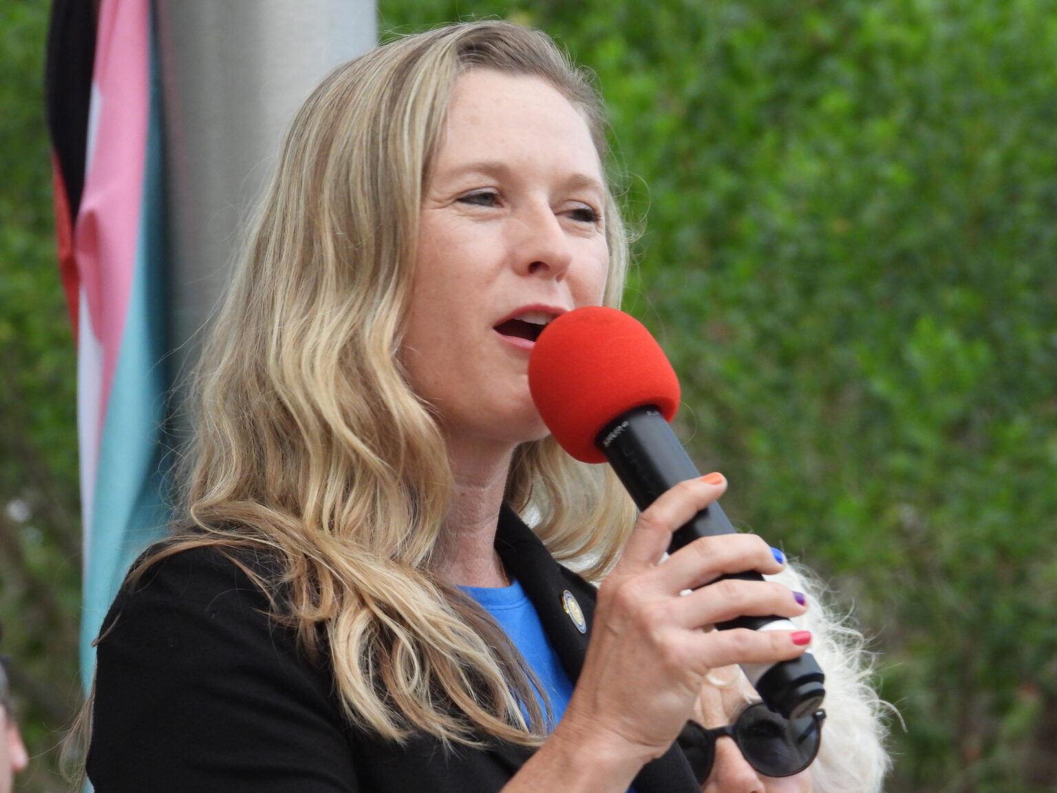 Lindsay Cross draws a challenger for Florida House: Republican Ed ...