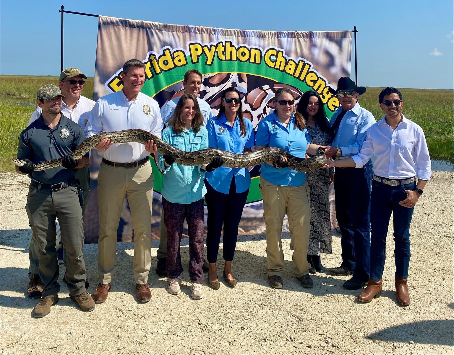 Florida's Python Challenge offers cash for catching Burmese pythons - WMNF 88.5 FM